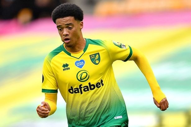 Liverpool's opening Lewis bid rejected by Norwich - Soccer News