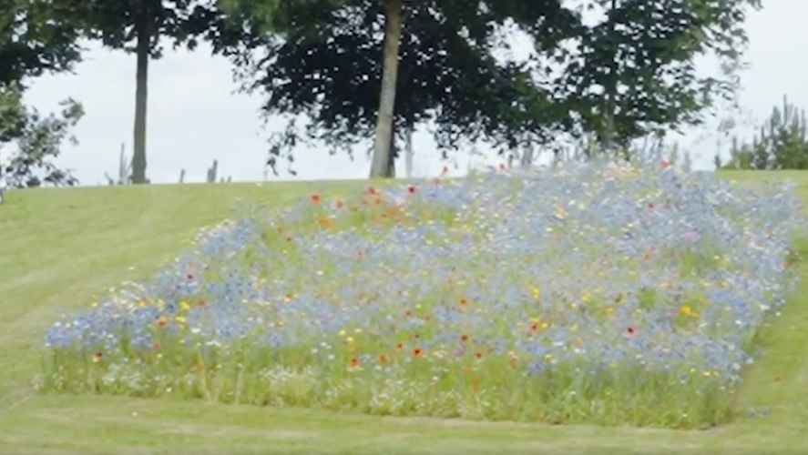 A touching tribute to 97 Hillsborough victims at Everton's Finch Farm ...